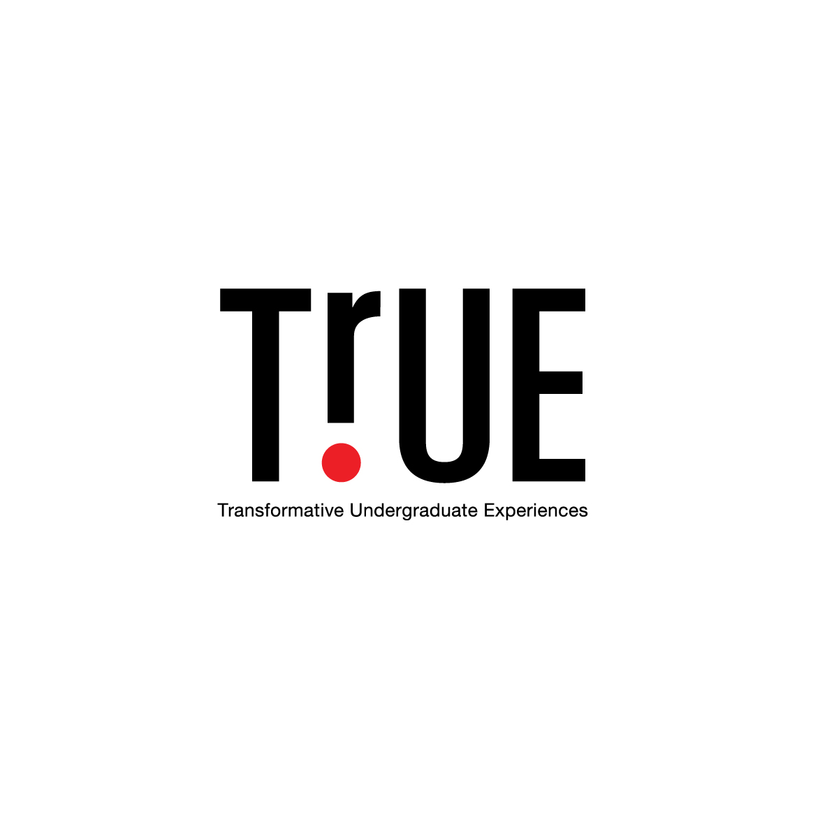 True X Logo